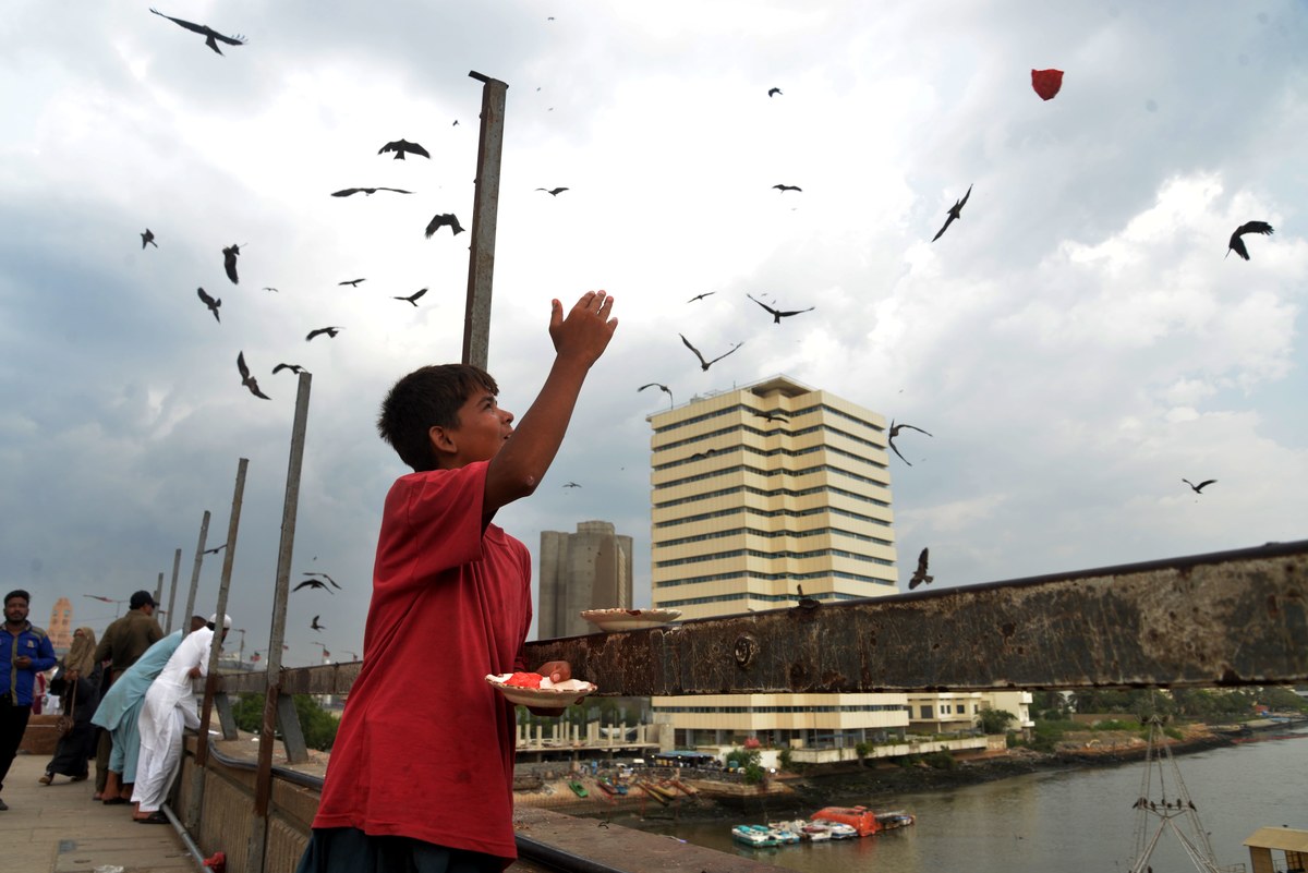 Atop ancient bridge, Karachi residents feed meat to birds, fish to earn ...