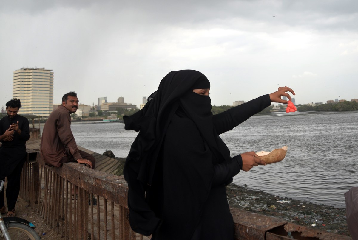 Atop ancient bridge, Karachi residents feed meat to birds, fish to earn ...