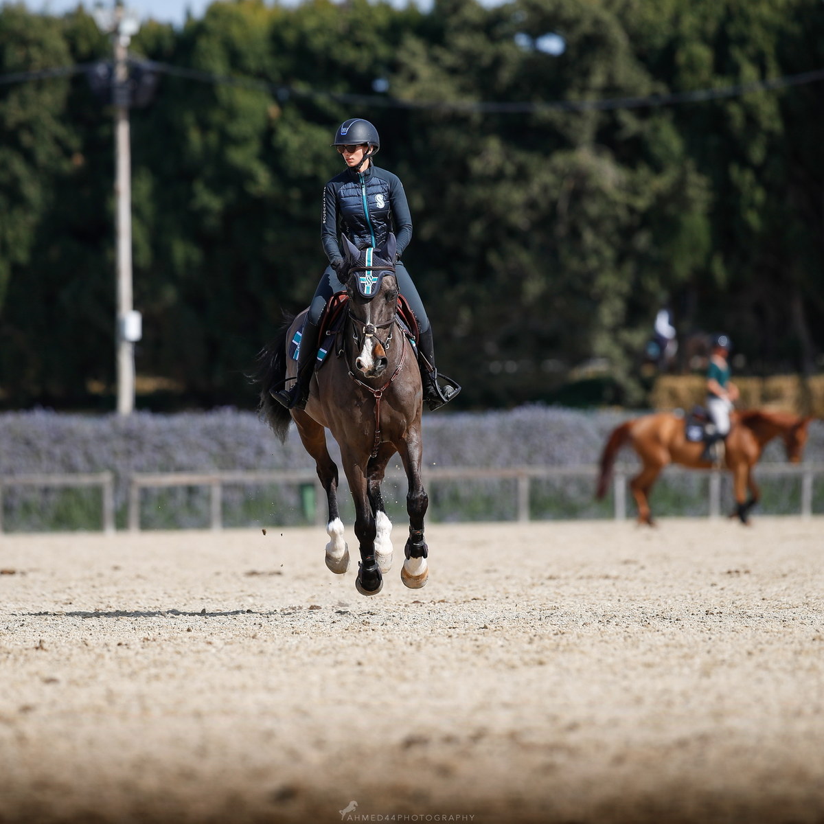 Saudi Arabian equestrian talent Sara Jedea eyes Olympic dream | Arab ...